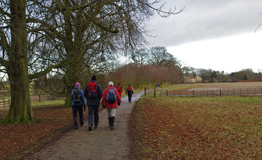 Doncaster Wayfarers ::::: WALKS